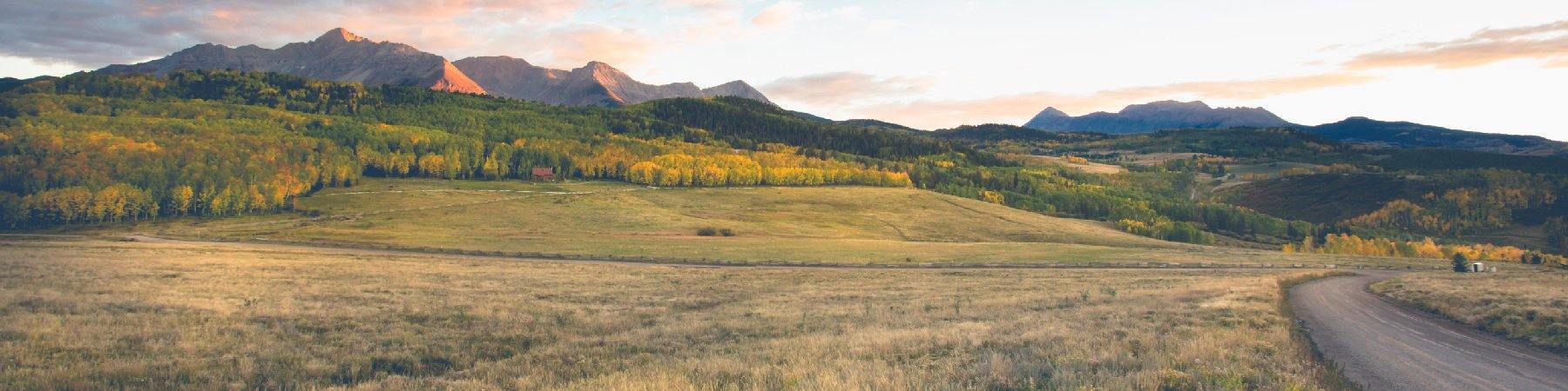 EverStep Orthopedic Boots for Maximum Support & Comfort